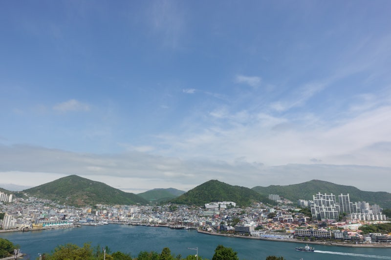 여수 가볼만한곳 오동도 예쁜 동백꽃 개화시기 21년 2월 추가 네이버 블로그