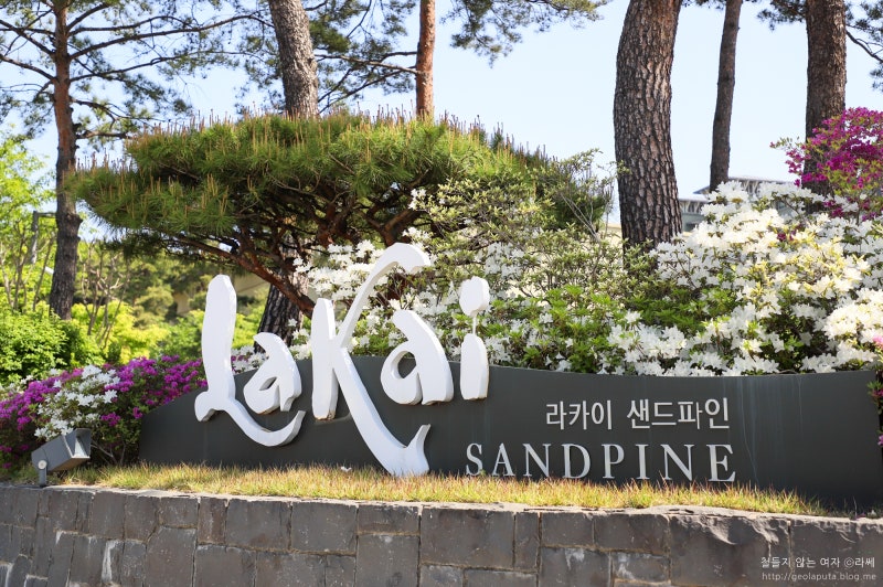 강원도 여행 강릉 라카이 샌드파인 리조트 듀오룸 가족 숙소로 추천 네이버 블로그