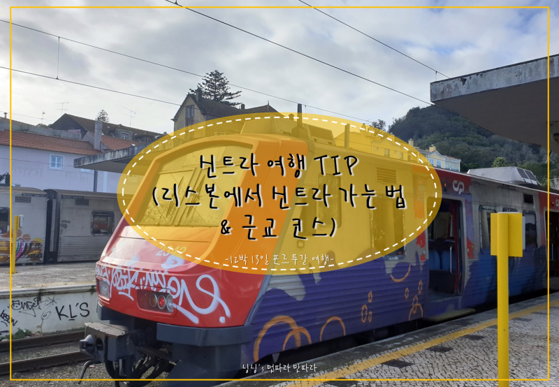 포르투갈 여행 33 Day 6 1 신트라 여행 Tip 리스본에서 신트라 가는 법 신트라 카스카이스 호카곶