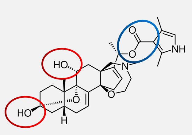 독 (Poison) (4) : 바트라코톡신(Batrachotoxin) : 네이버 블로그