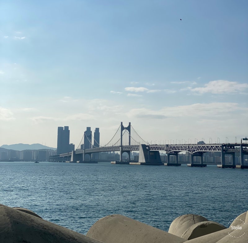파크하얏트 부산 고층 오션뷰 호캉스 룸 컨디션가격 다이닝룸 조식메뉴 네이버 블로그