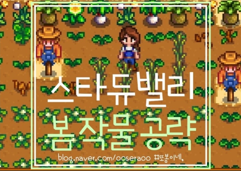 스타듀밸리 봄 작물 감자 딸기 콜리플라워 대황 1 2년차 공략 Tip 네이버 블로그