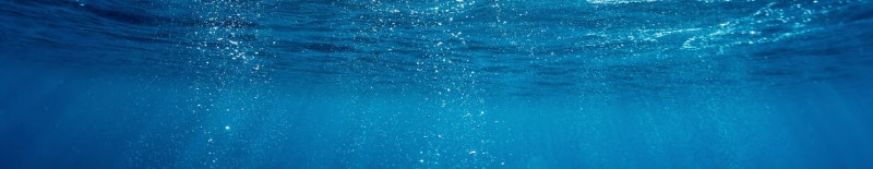 수중 이산화탄소(CO2) 측정기 (Mini CO2, Solu-Blu CO2) : 네이버 블로그