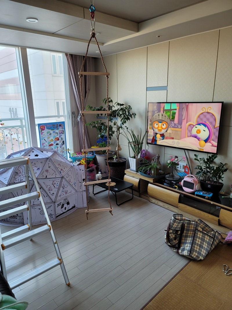가정용 아이그네 놀이기구 설치 아이들에게 최고의 선물 놀이치료 감통치료 네이버 블로그