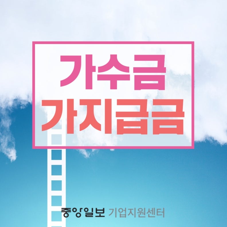 가수금 가지급금 어떤 것이 더 위험한가 네이버 블로그