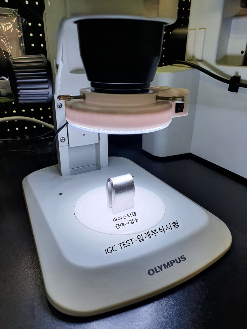 IGC TEST : 네이버 블로그