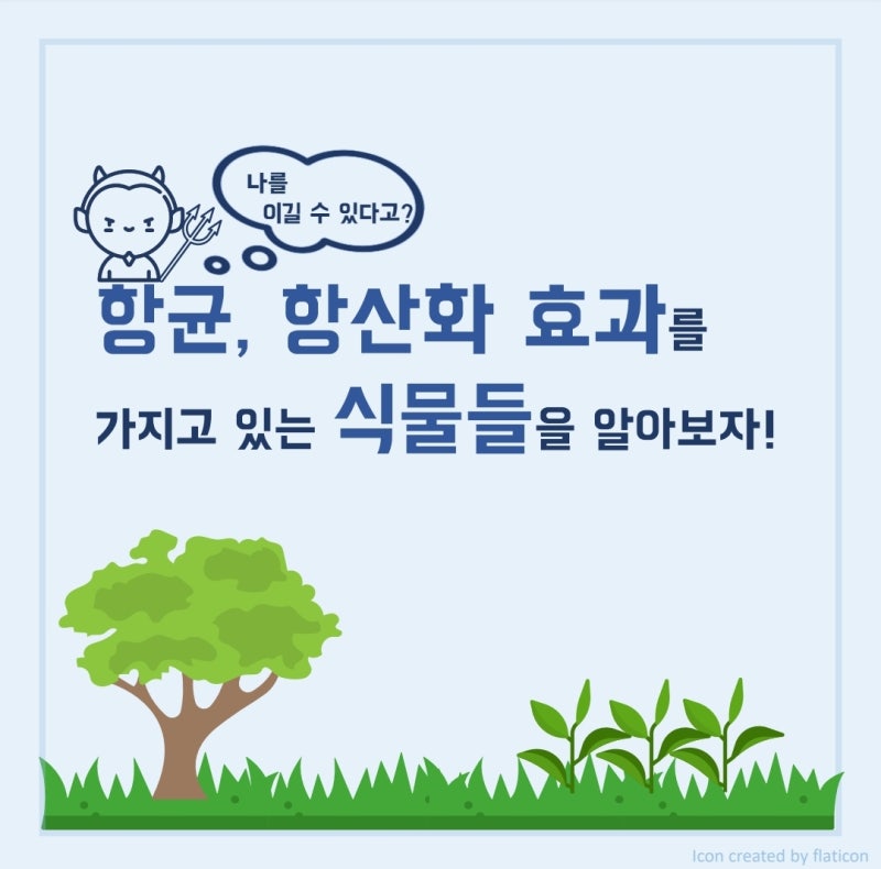 우리 주변 항균 항산화 효과를 가진 식물들을 알아보자고사리 녹차 양파 쑥 박하 오미자 황기 네이버 블로그