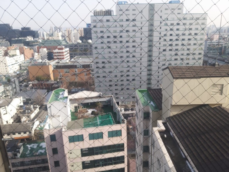 서울 강서구 염창동 롯데캐슬 아파트단지 비둘기퇴치서울 강서구 화곡동 롯데케슬 비둘기퇴치 잠실 월드메르디앙 비둘기퇴치 전체