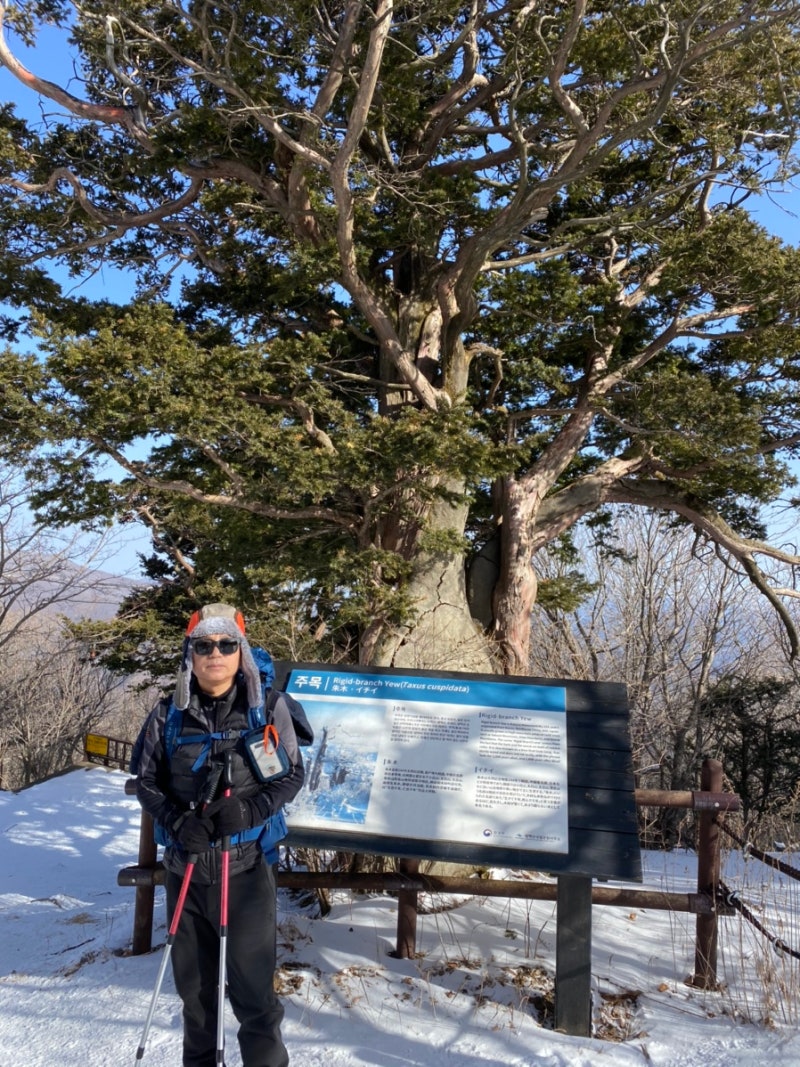 강원도 태백 태백산 등산 최단코스유일사 주차장~정상 네이버 블로그
