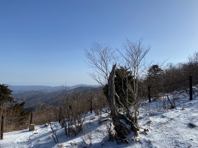 강원도 태백 태백산 등산 최단코스유일사 주차장~정상 네이버 블로그