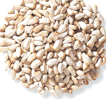 복숭아뼈 골절 어떤음식이 도움될까요? : 네이버 블로그