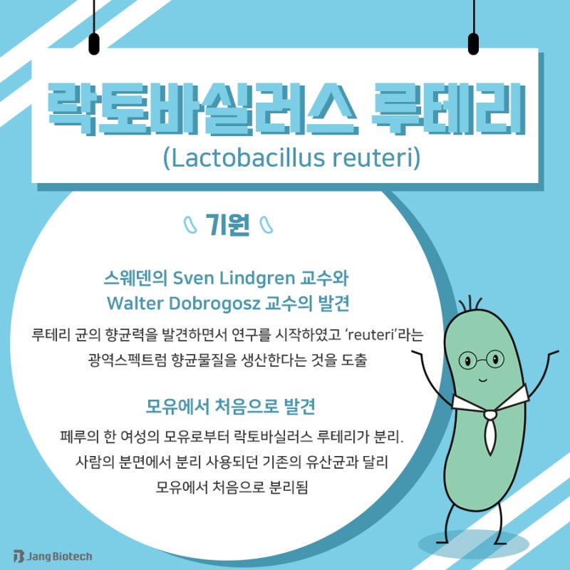식약처고시유산균19종 락토바실러스 루테리 네이버 블로그
