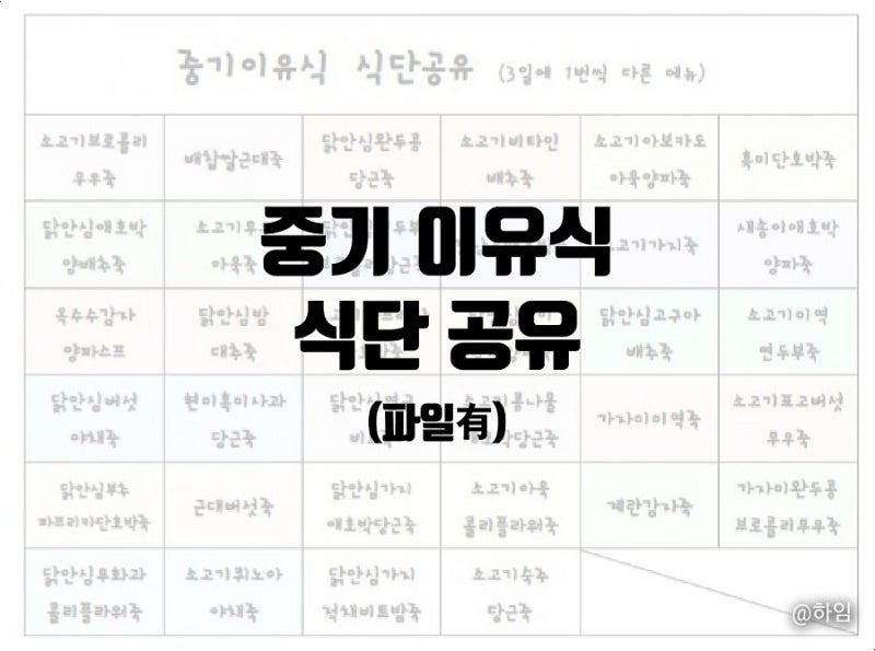 중기 이유식 식단 공유 중기 이유식 팁 파일有 네이버 블로그