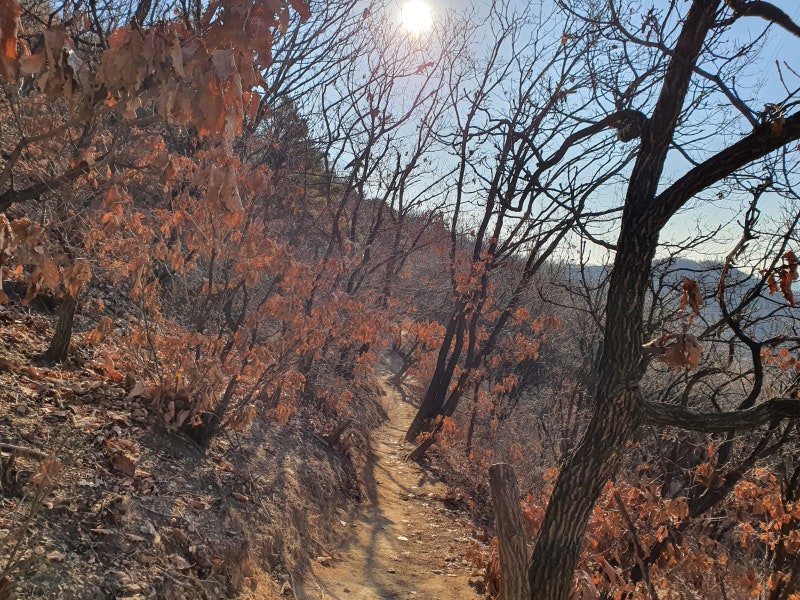 인천 가볼 만한 산 원적산 그리고 둘레길 네이버 블로그
