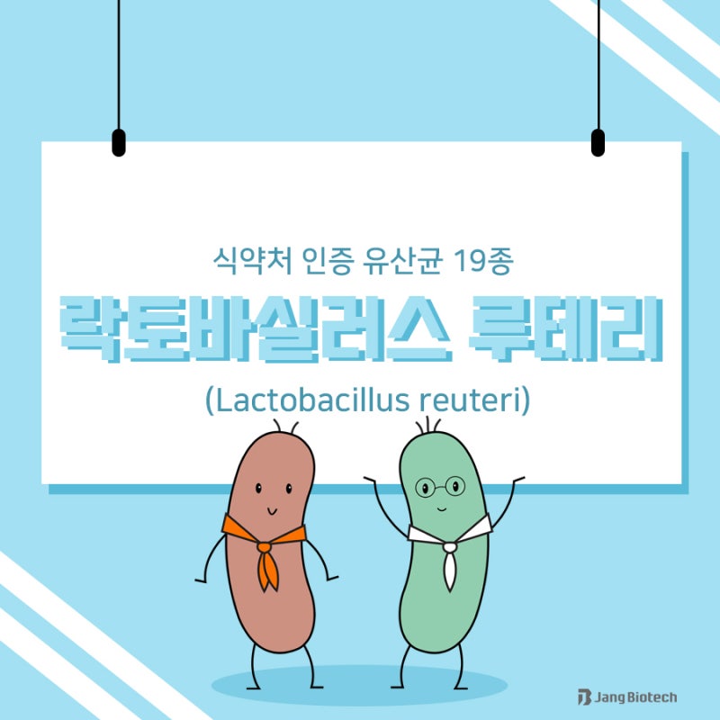 식약처고시유산균19종 락토바실러스 루테리 네이버 블로그
