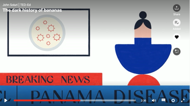 [TED] The dark history of bananas(바나나의 어두운 역사) : 네이버 블로그