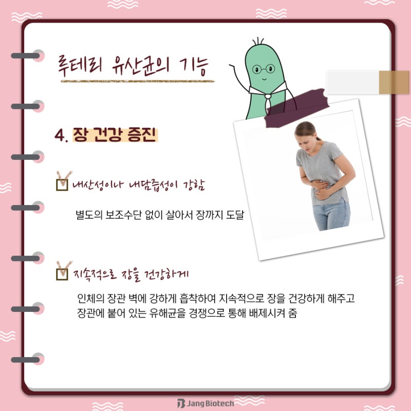 식약처고시유산균19종 락토바실러스 루테리 네이버 블로그