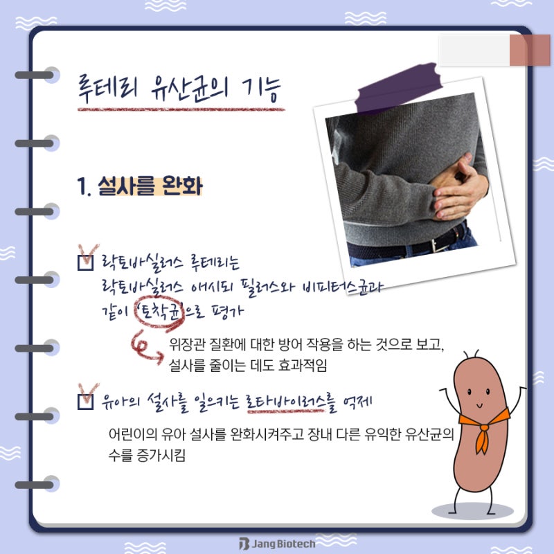 식약처고시유산균19종 락토바실러스 루테리 네이버 블로그
