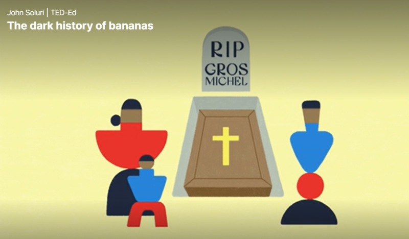 [TED] The dark history of bananas(바나나의 어두운 역사) : 네이버 블로그