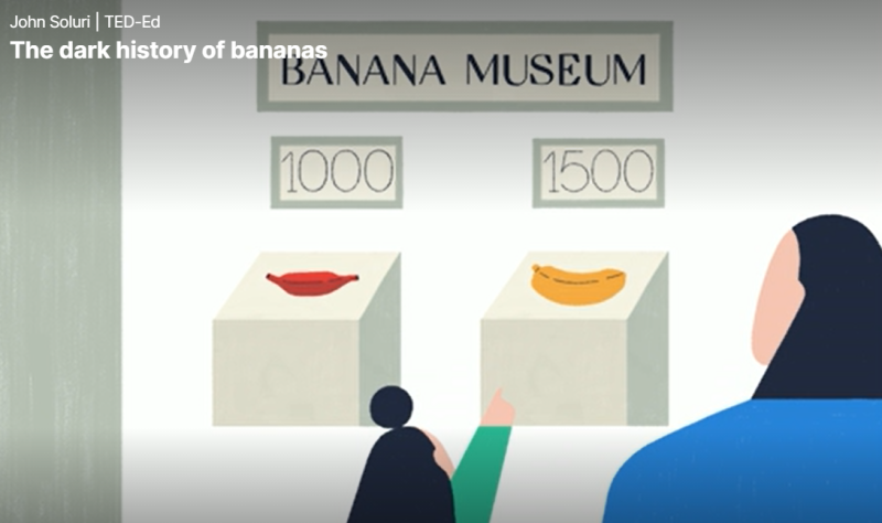 [TED] The dark history of bananas(바나나의 어두운 역사) : 네이버 블로그