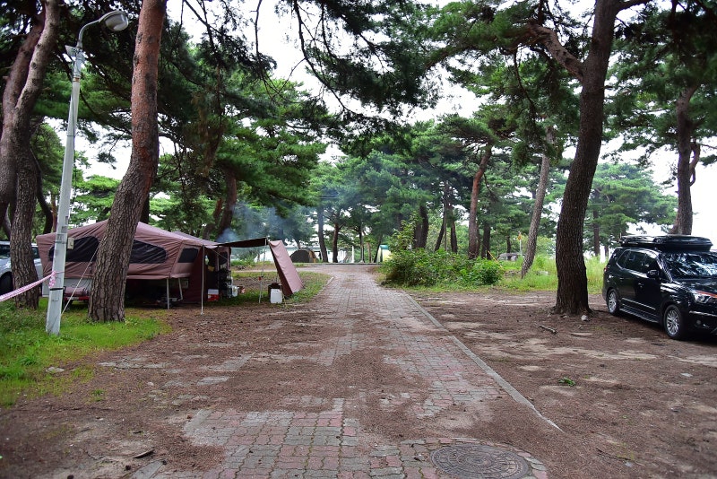 동해안 해안도로 드라이브 바다 여행 코스강릉양양속초 해변의 절경들 네이버 블로그