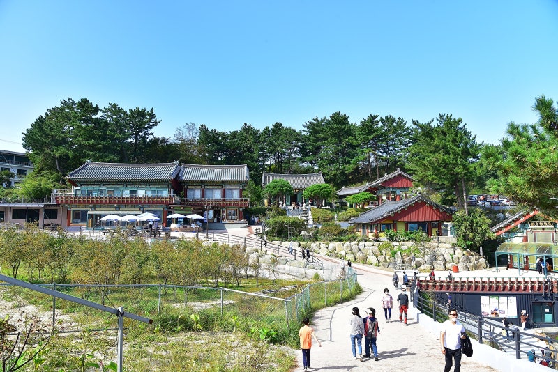 동해안 해안도로 드라이브 바다 여행 코스강릉양양속초 해변의 절경들 네이버 블로그