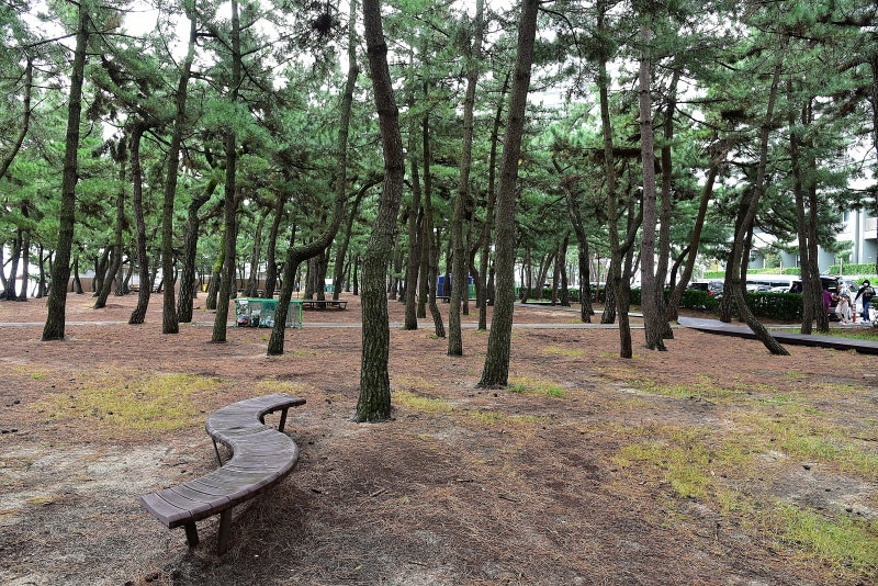 동해안 해안도로 드라이브 바다 여행 코스강릉양양속초 해변의 절경들 네이버 블로그