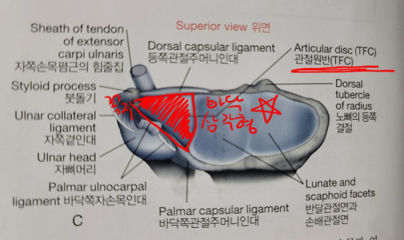 손목통증 삼각섬유연골복합체 손상이라는데 도대체 어디 네이버 블로그
