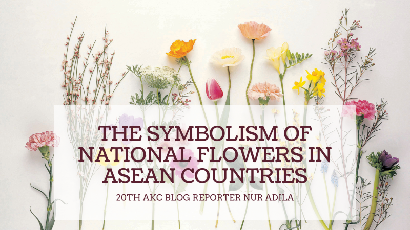 National Flowers Of Countries With Pictures