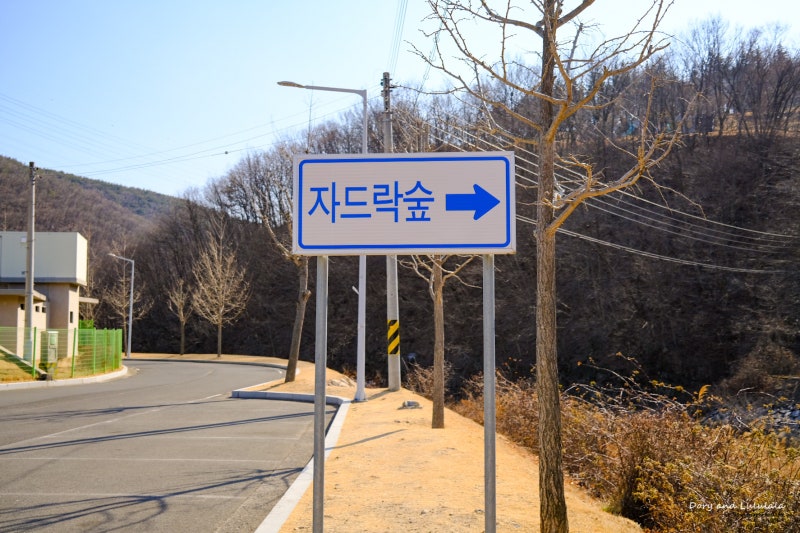 울산 아이와 가볼만한곳 언양 자드락숲 놀이터 네이버 블로그