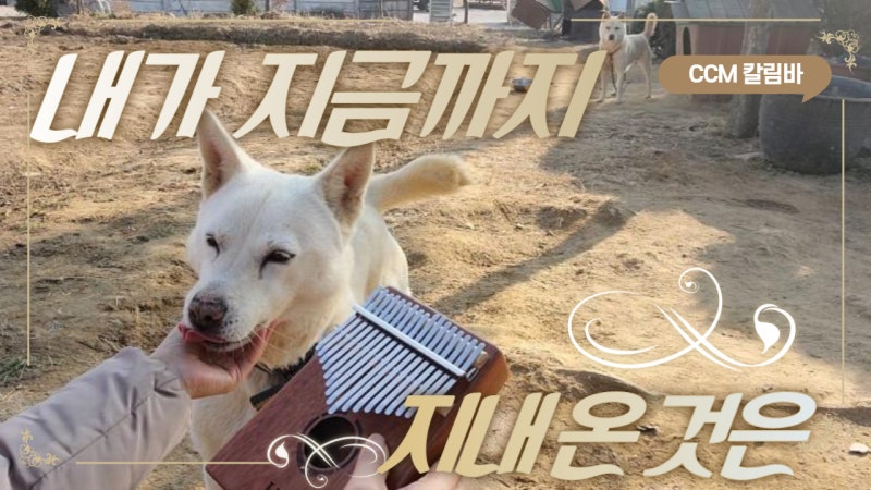 내가 지금까지 지내온 것은, 주의 은혜라 악보, 주의 은혜라 칼림바 악보, CCM 칼림바, 칼림바 찬양 악보 : 네이버 블로그