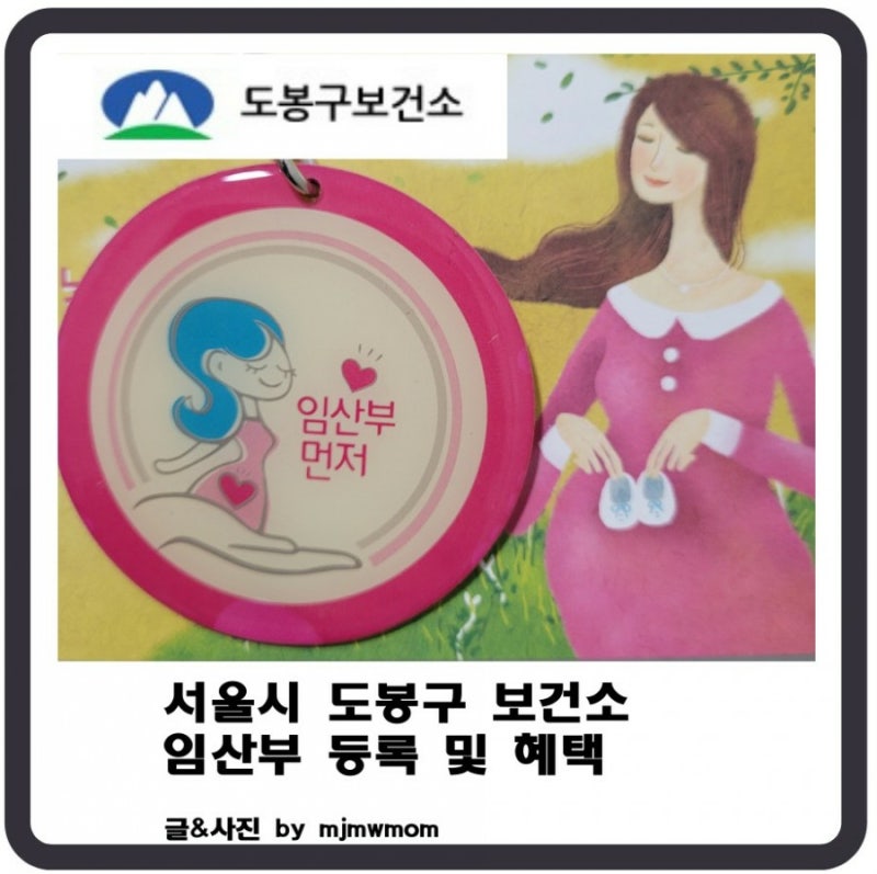 서울시 도봉구 보건소 임산부 등록 및 혜택 임신초기검사엽산철분제 지급 네이버 블로그
