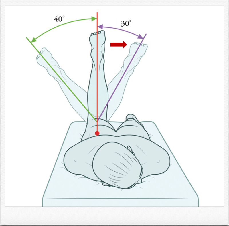 해부학 근육학 넙다리근육thigh Muscle 볼기근육 속폐쇄근내폐쇄근ㆍobturator Internus