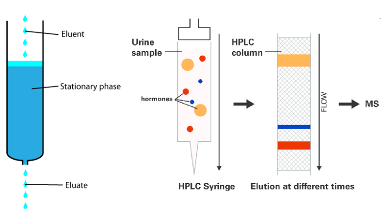 [크로마토그래피 3탄] HPLC 등용매 및 기울기 용리비교, Isocratic and Gradient Elution : 네이버 블로그