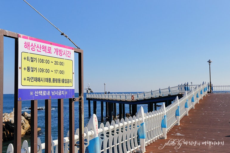 영덕 가볼만한곳 강구항 And 해맞이공원 당일 바다여행 네이버 블로그