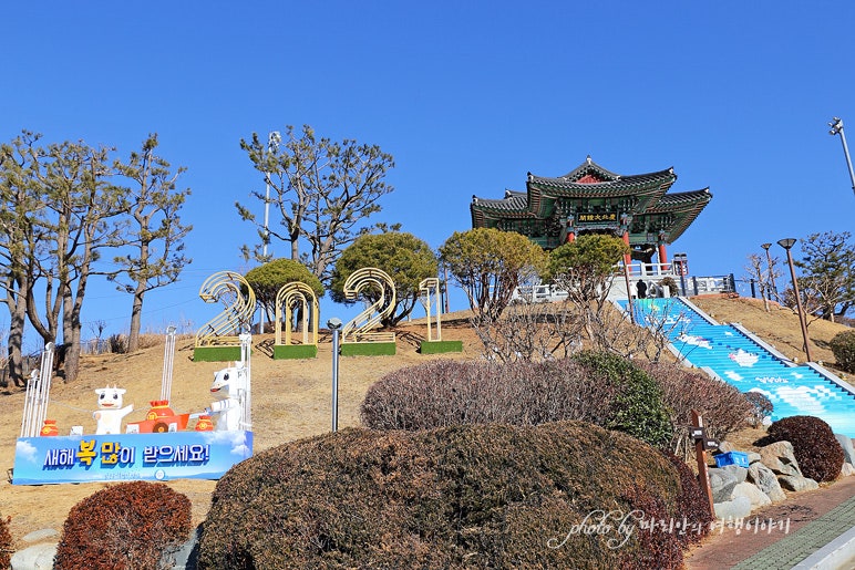 영덕 가볼만한곳 강구항 And 해맞이공원 당일 바다여행 네이버 블로그