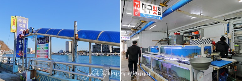 영덕 가볼만한곳 강구항 And 해맞이공원 당일 바다여행 네이버 블로그