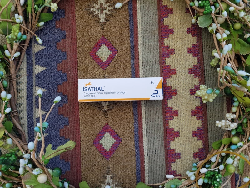 [강아지 세균성 결막염] 이사탈 점안액 (시흥 동물약국, 시흥 은계동물약국) 강아지 세균성 결막염 : 네이버 블로그