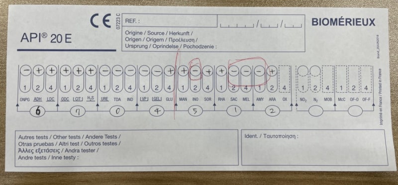 API 20E 키트로 살모넬라(salmonella) 동정 확인 : 네이버 블로그