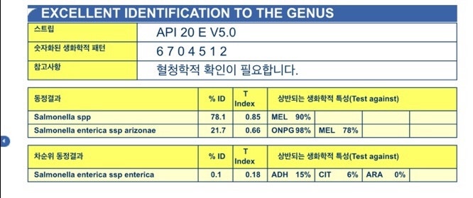 API 20E 키트로 살모넬라(salmonella) 동정 확인 : 네이버 블로그