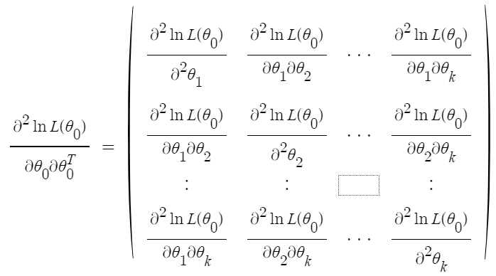 DCM (8) : MLE(3) - MLE Variance Estimator / Infomation Matrix/ Hessian ...