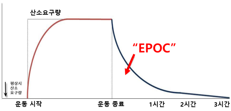 살빼기 좋은 운동? EPOC에 대해서 이야기해 봅시다 : 네이버 블로그