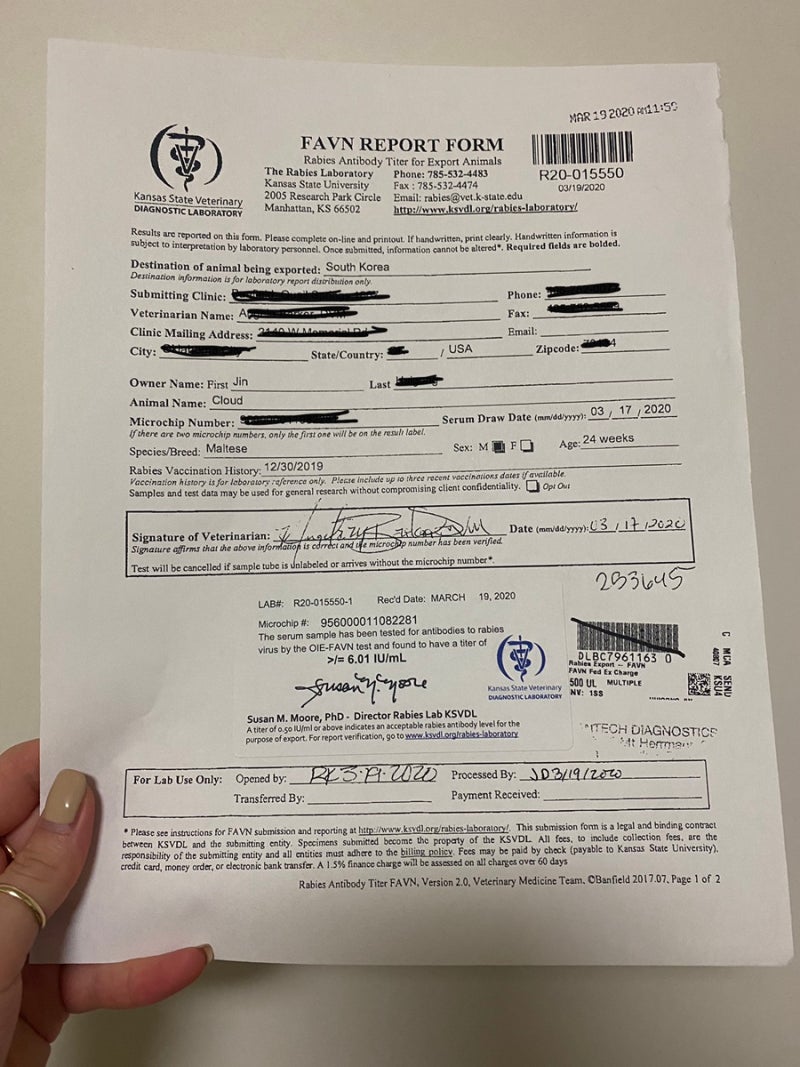 미국에서 한국으로 강아지 데려오는데 필요한 서류 (비행기 탄 강아지/강아지 해외여행) : 네이버 블로그