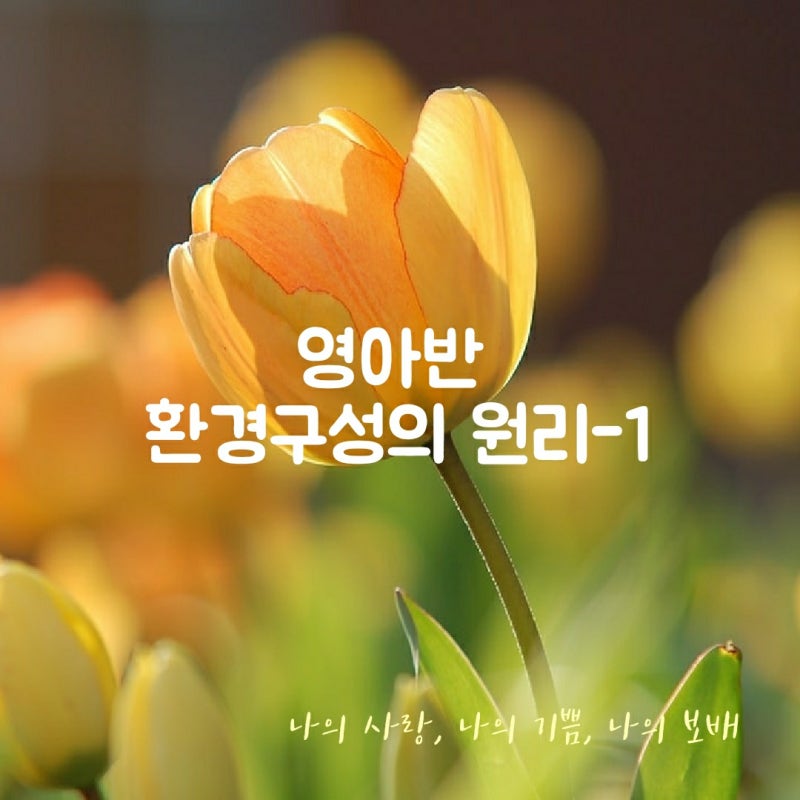 영아반 환경 구성의 원리 평가제의 실내 공간구성 및 운영 네이버 블로그