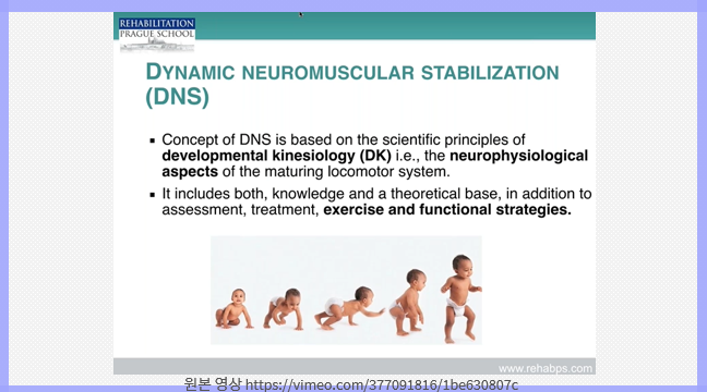 [연재] DNS(dynamic neuromuscular stabilization) 기본 개념 #1 : 네이버 블로그