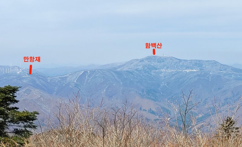 태백 함백산 등산코스 만항재 원점회귀 힐링코스 네이버 블로그