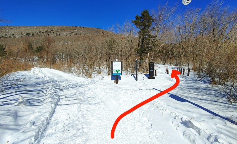 태백 함백산 등산코스 만항재 원점회귀 힐링코스 네이버 블로그