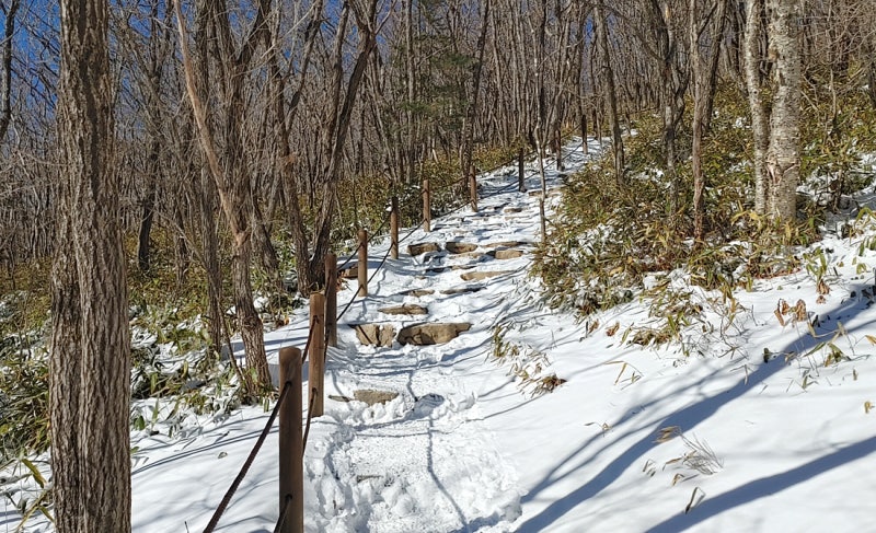 태백 함백산 등산코스 만항재 원점회귀 힐링코스 네이버 블로그