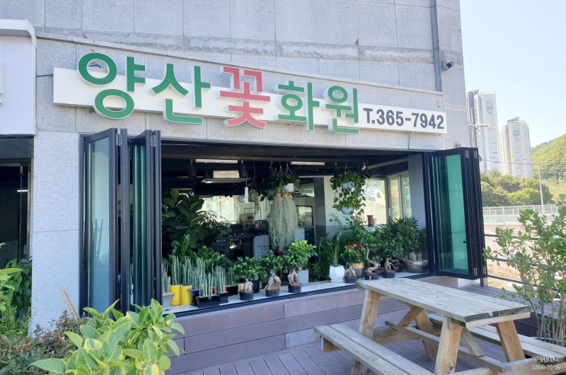 전국꽃배달 양산꽃화원 부산 울산 김해 축하꽃배달 꽃바구니 과일바구니 네이버 블로그