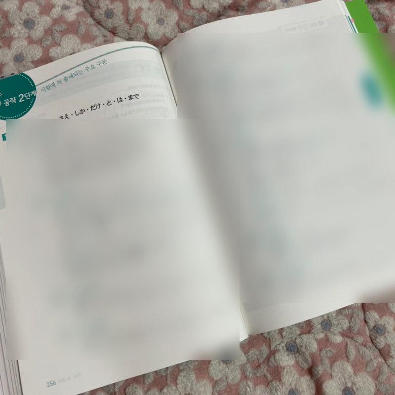 [일본어] JPT 600점 독학 후기 + JLPT와 비교 (JLPT N2만 2년 공부한 사람의 후기😭) : 네이버 블로그